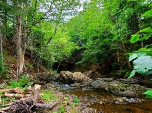 Cove-Dome-Glamping-Moncton-New Brunswick-Camping-Vacation