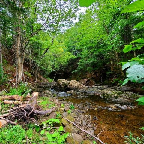 Cove-Dome-Glamping-Getaway-Moncton-New Brunswick