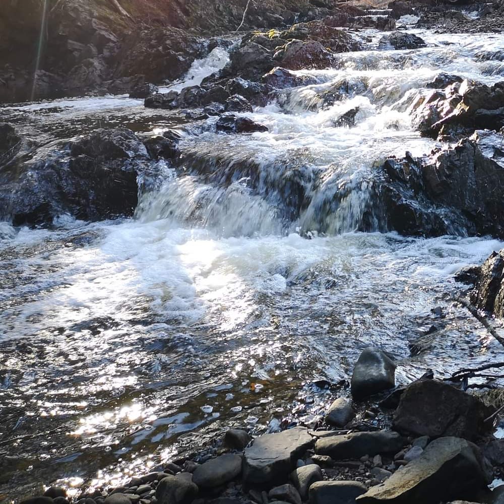 Cove Dome Glamping - Moncton New Brunswick - FAQ